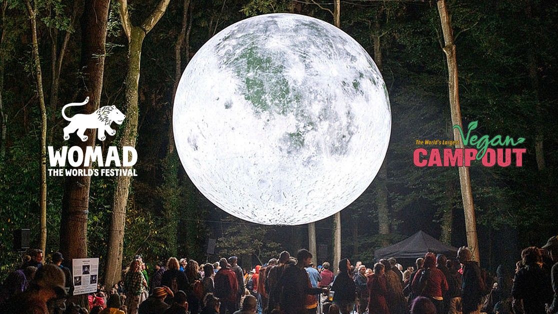 The summer of fun with Ecotricity | Ecotricity