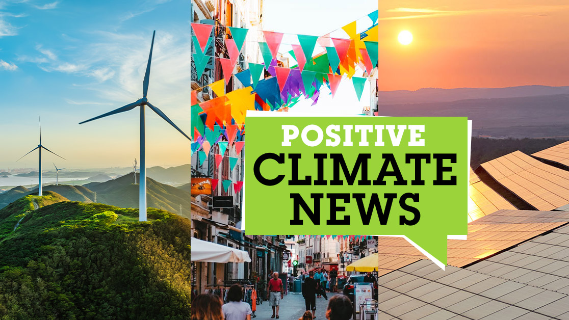 July's positive climate news | Ecotricity