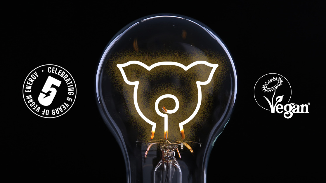 Ecotricity’s vegan energy– the past, present and future | Ecotricity