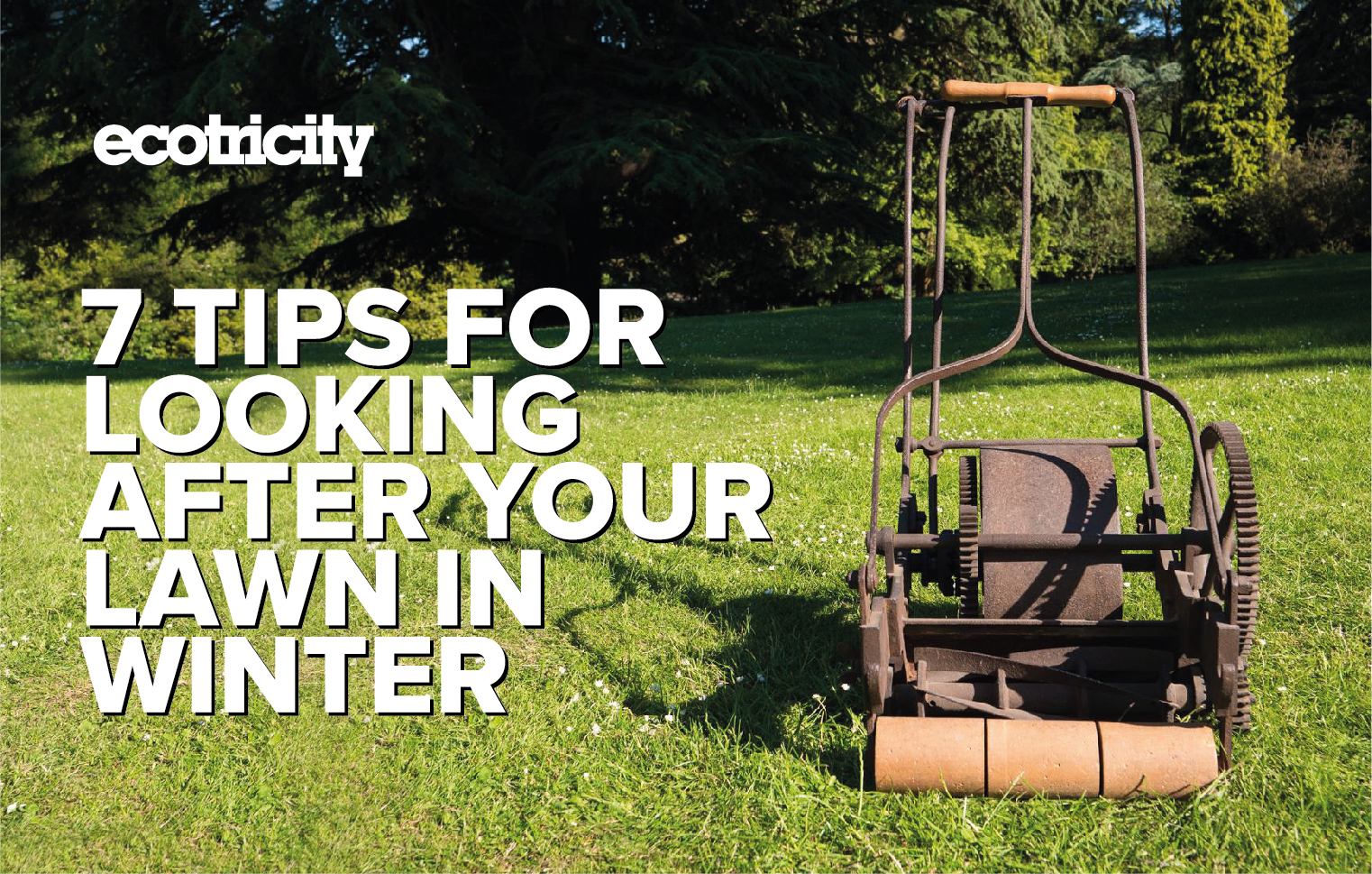7 tips for looking after your lawn in winter – Ecotricity | Ecotricity