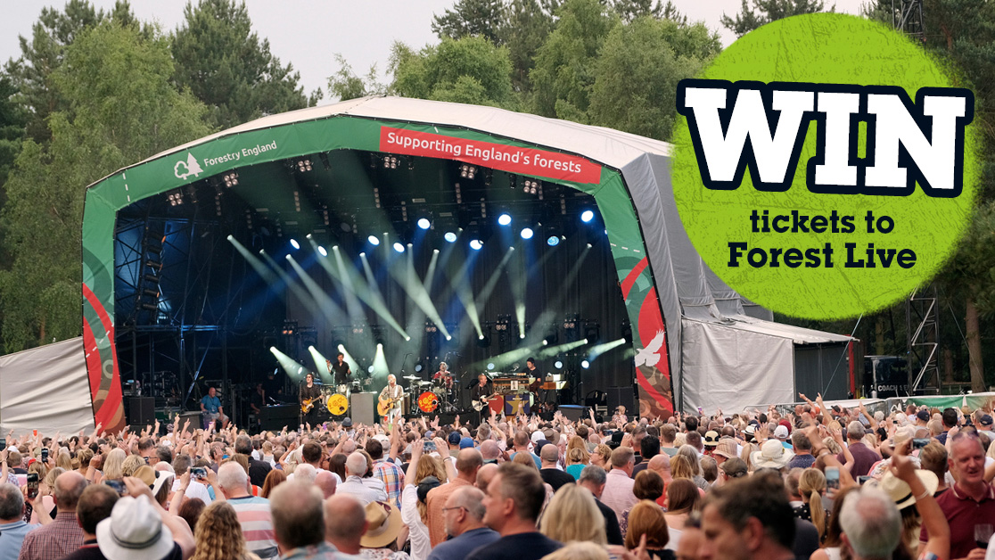 Celebrate Forest Live with us | Ecotricity