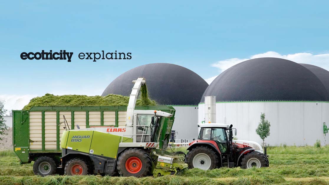 Ecotricity explains: Making gas from grass | Ecotricity