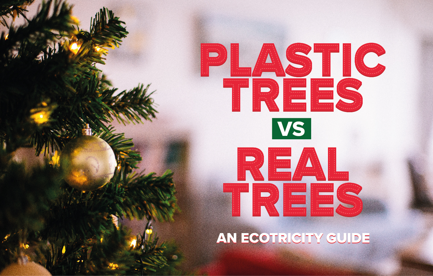 Fake vs real Christmas tree: what’s better for the environme | Ecotricity