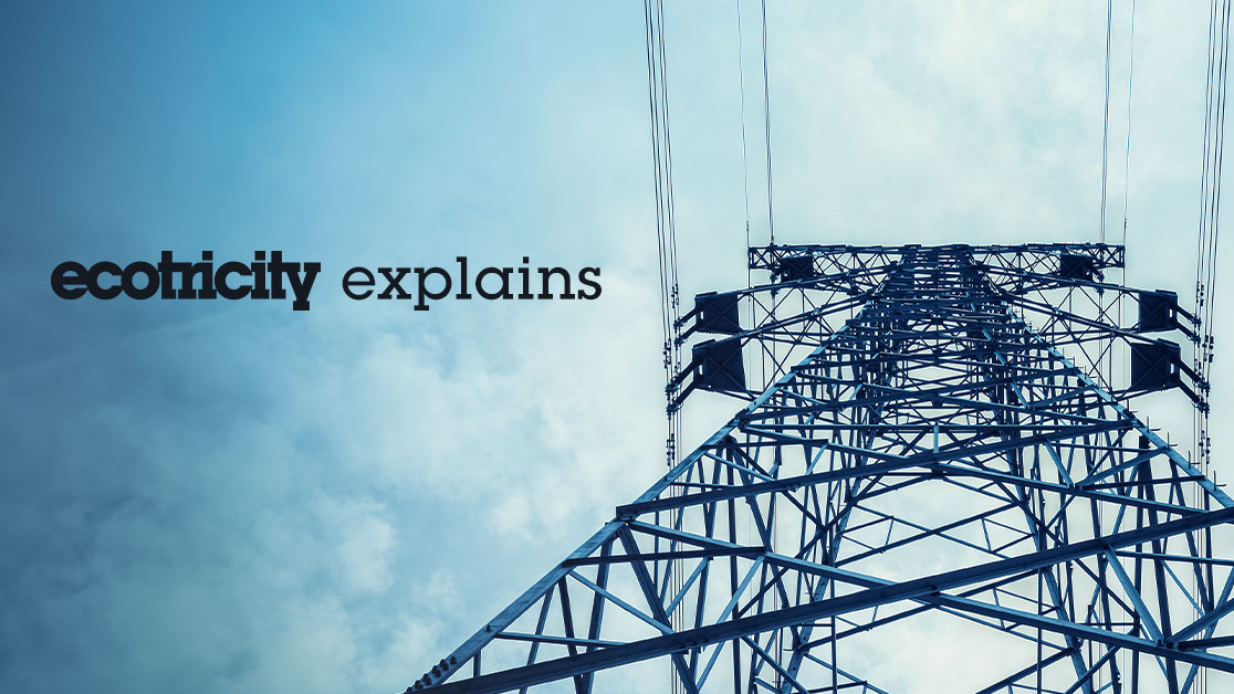 Ecotricity Explains: The National Grid | Ecotricity