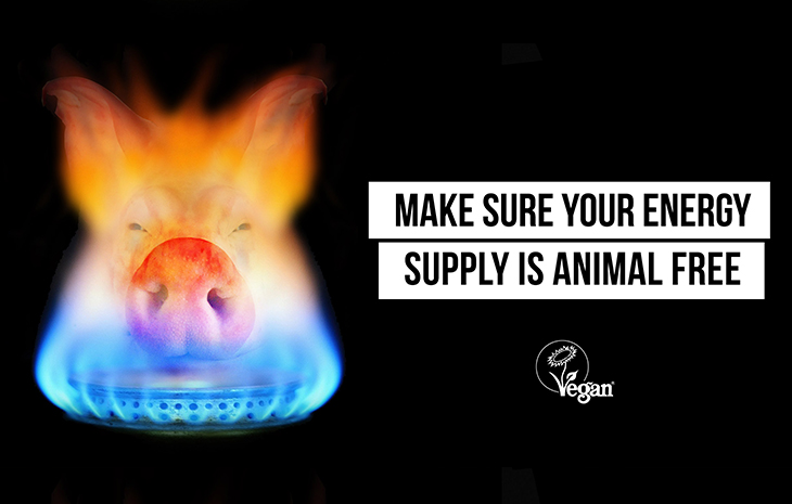 Ecotricity’s gas receives Vegan Society registration | Ecotricity