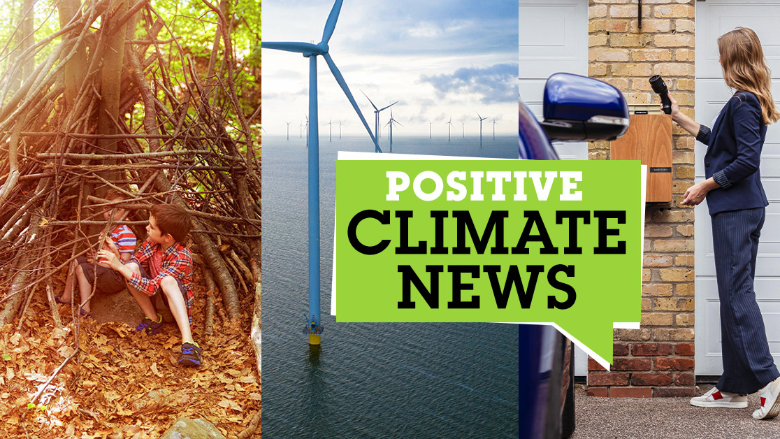 October's positive climate news: Protecting ocean life and a new nature ...