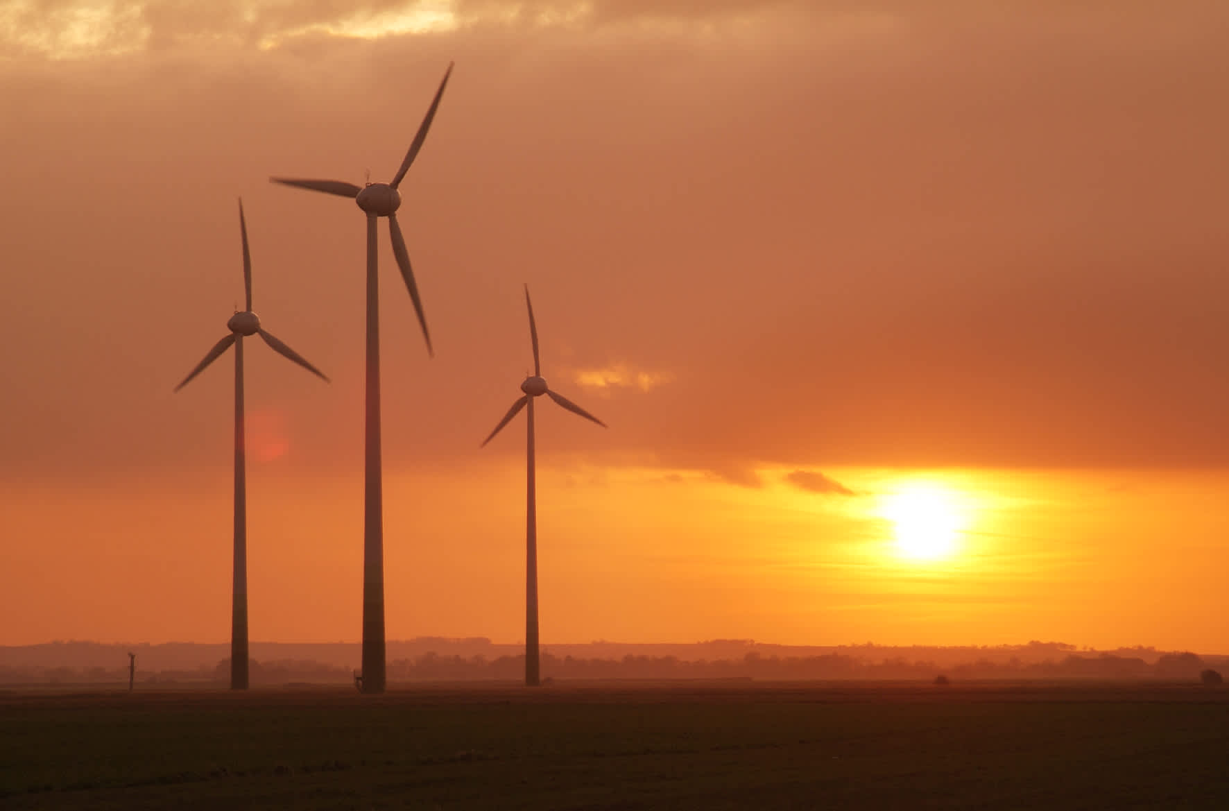 Green electricity | Ecotricity