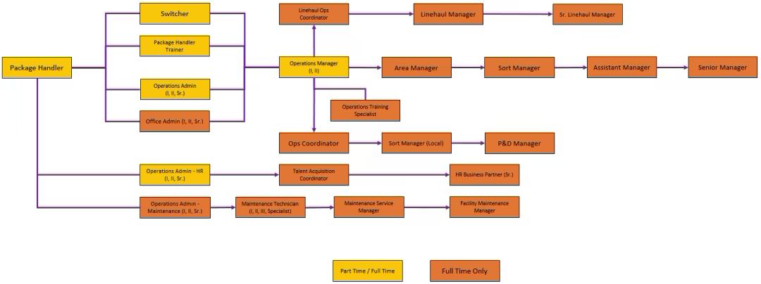 Plantilla de plan de desarrollo profesional gratuita