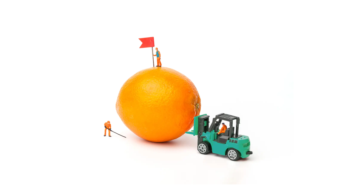 Cómo hacer un estudio de viabilidad de un proyecto en 6 pasos