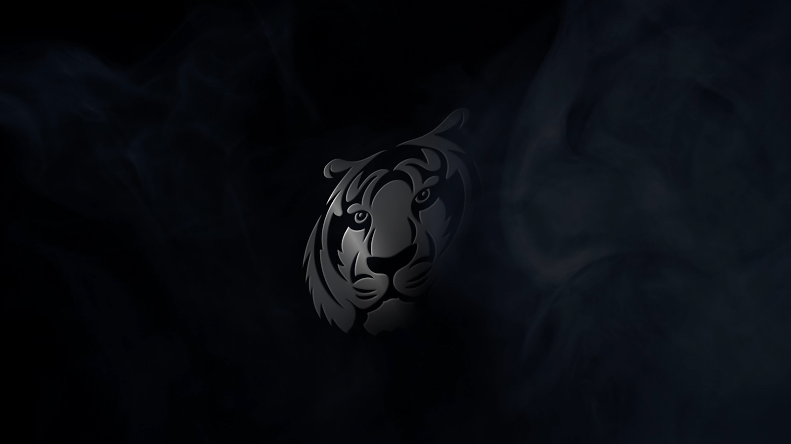 Our Work: 2d-&-3d-Animation Logo Animation | Meg Production