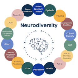 What is Neurodiversity?