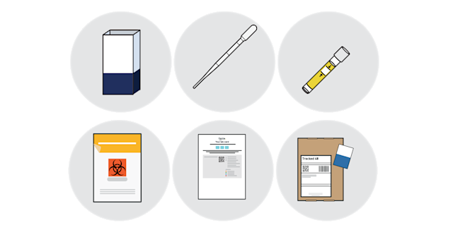 How To Take a Urine Sample | Home STI Test | SH:24