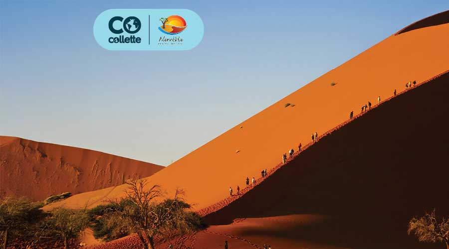 Namibia Travel in 2025: Some of the Best Things to Do and See