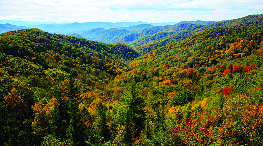 Best Places to Visit in the US: Month-by-Month Travel Guide