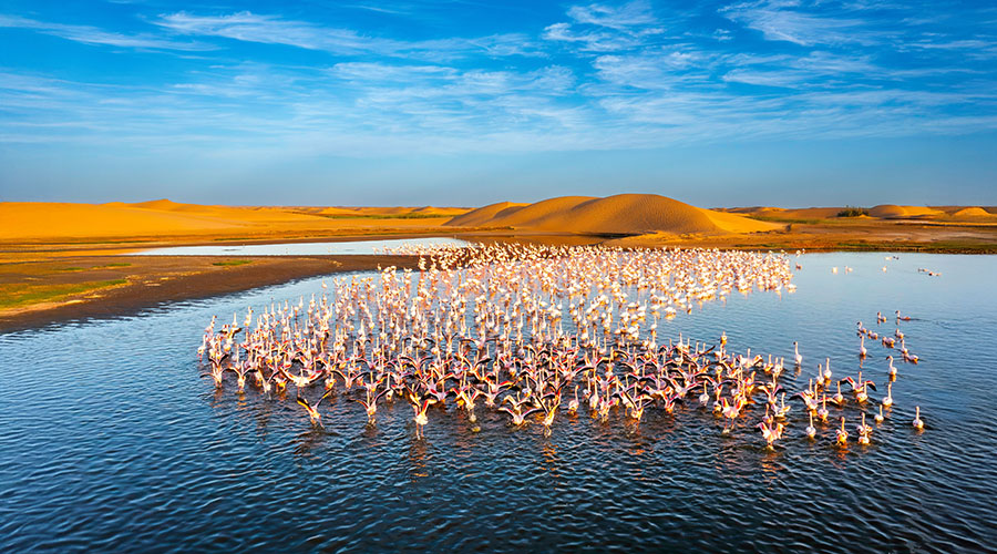 Collette 2026 Guided Tours 108 Years of Travel