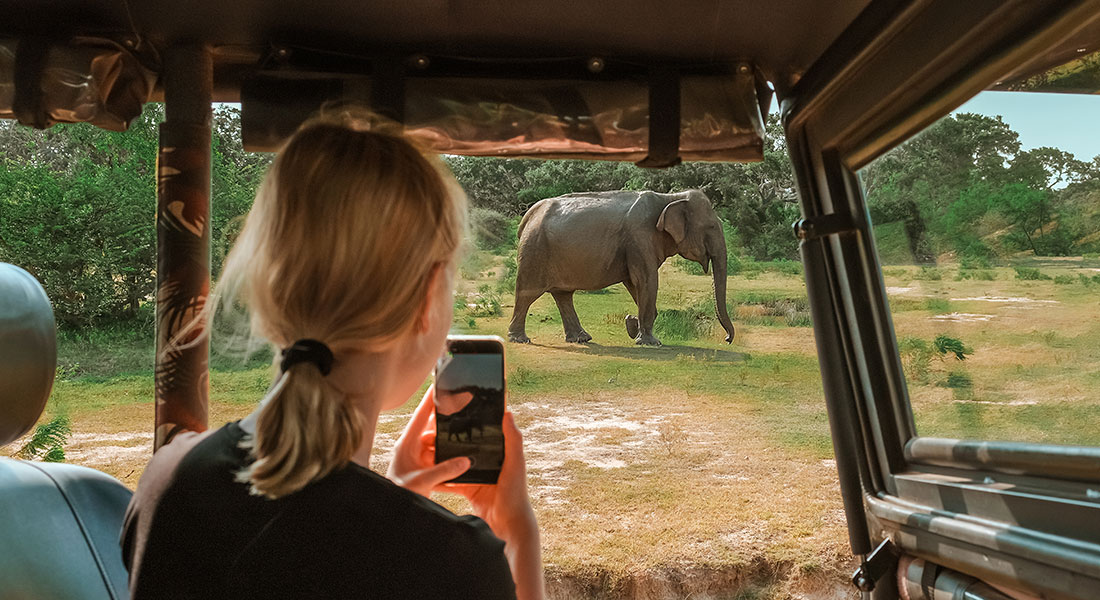 New Collette Explorations brochure out now