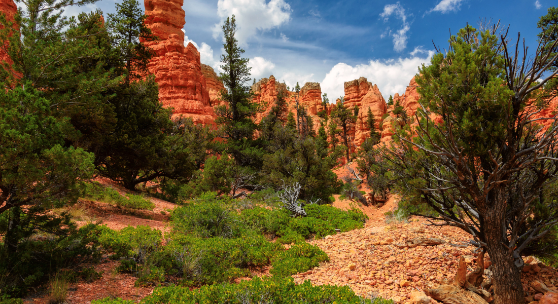 Collette unveils 10 new tours on four continents