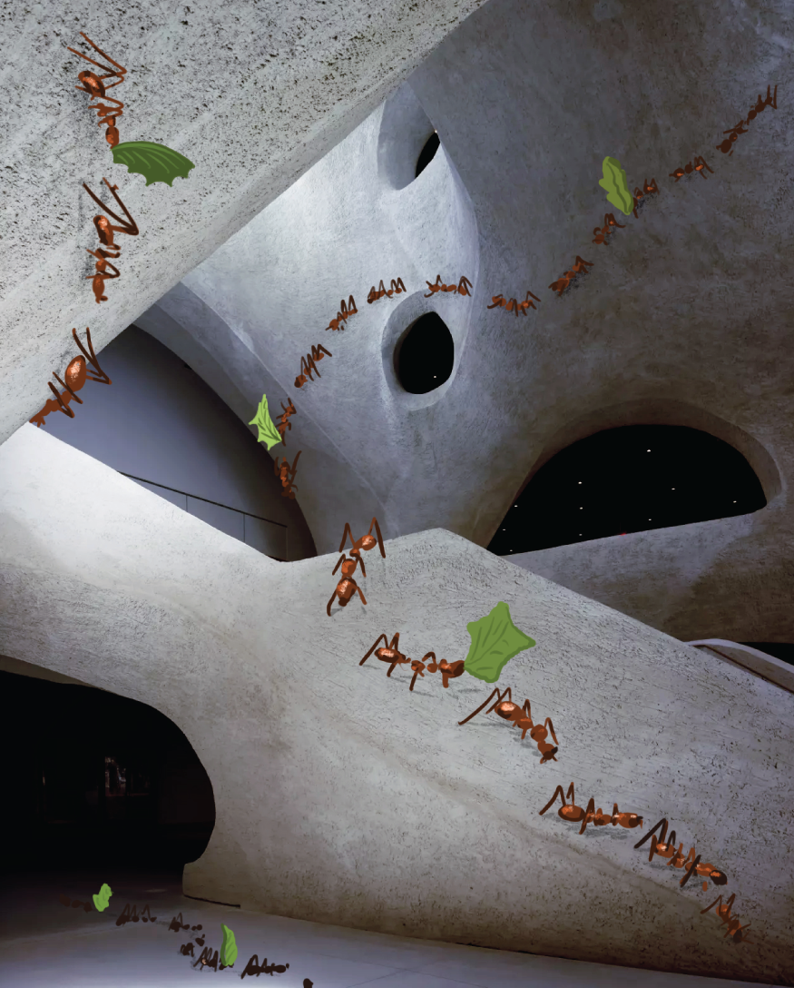 Nature Unveiled in August: Books, Museums, and Outdoor Escapes | PRIOR