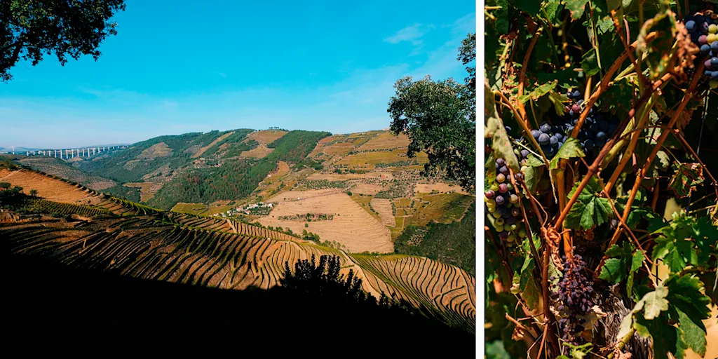 Lisbon Countryside: Estrada Nacional 2 Portugal | PRIOR | PRIOR
