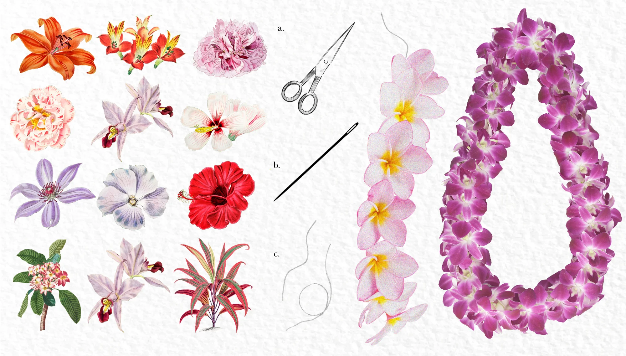 Hawaiian Lei: History & Traditions | PRIOR | PRIOR