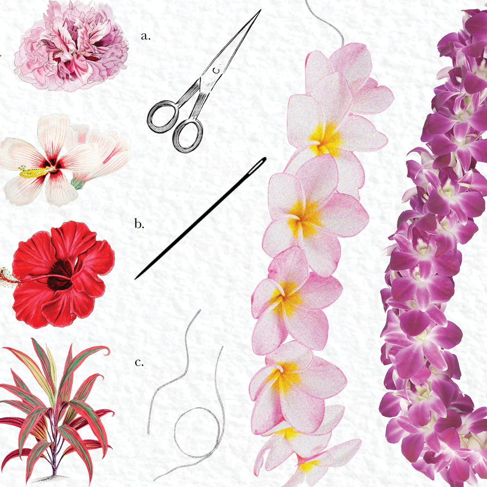 Hawaiian Lei: History & Traditions | PRIOR | PRIOR