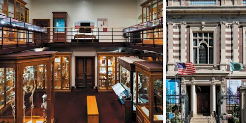 The Best Museums for Kids - Park of Monsters & More | PRIOR | PRIOR