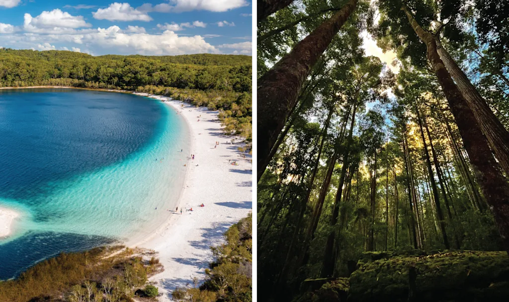 The Islands of Australia | PRIOR