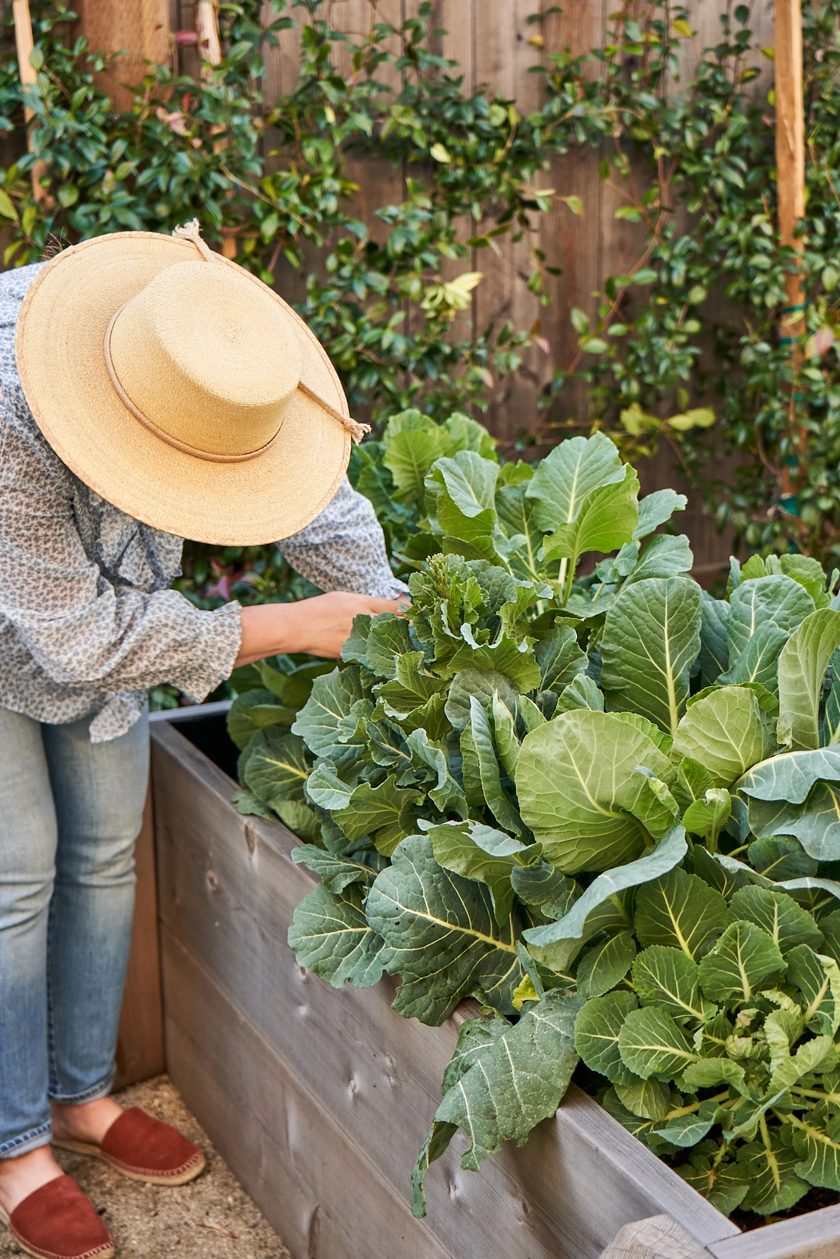 Yardzen: The Leading Online Landscape Design & Build Platform