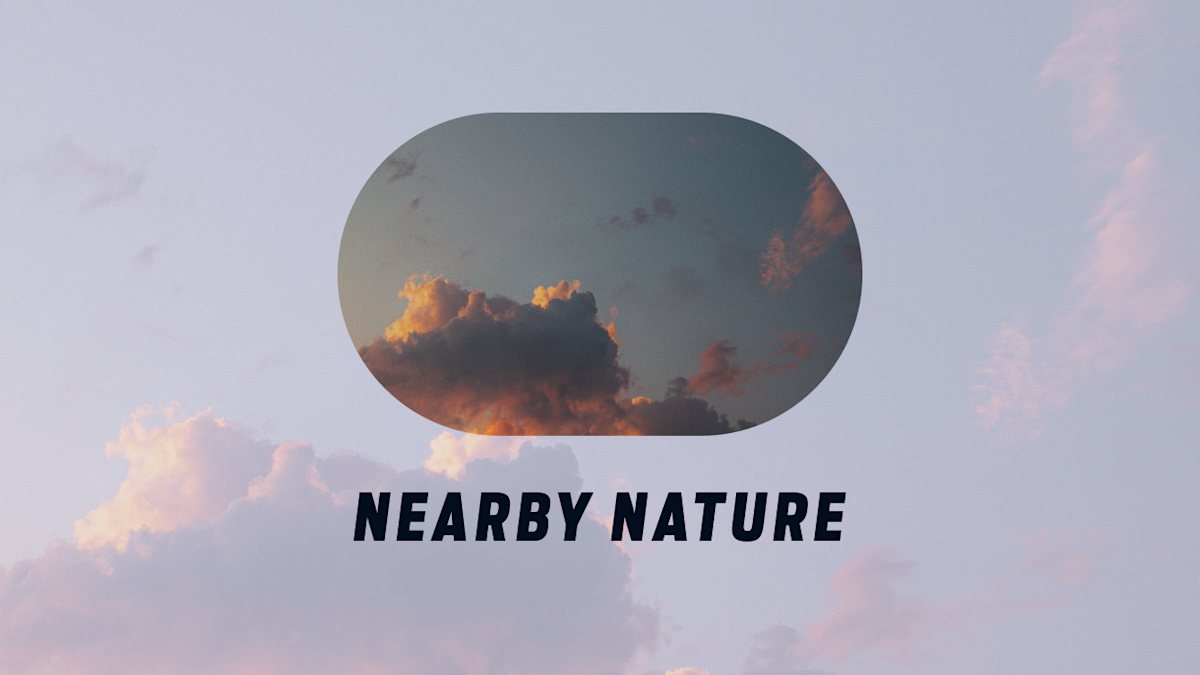 Nearby Nature Activities to Try This Summer | theSkimm