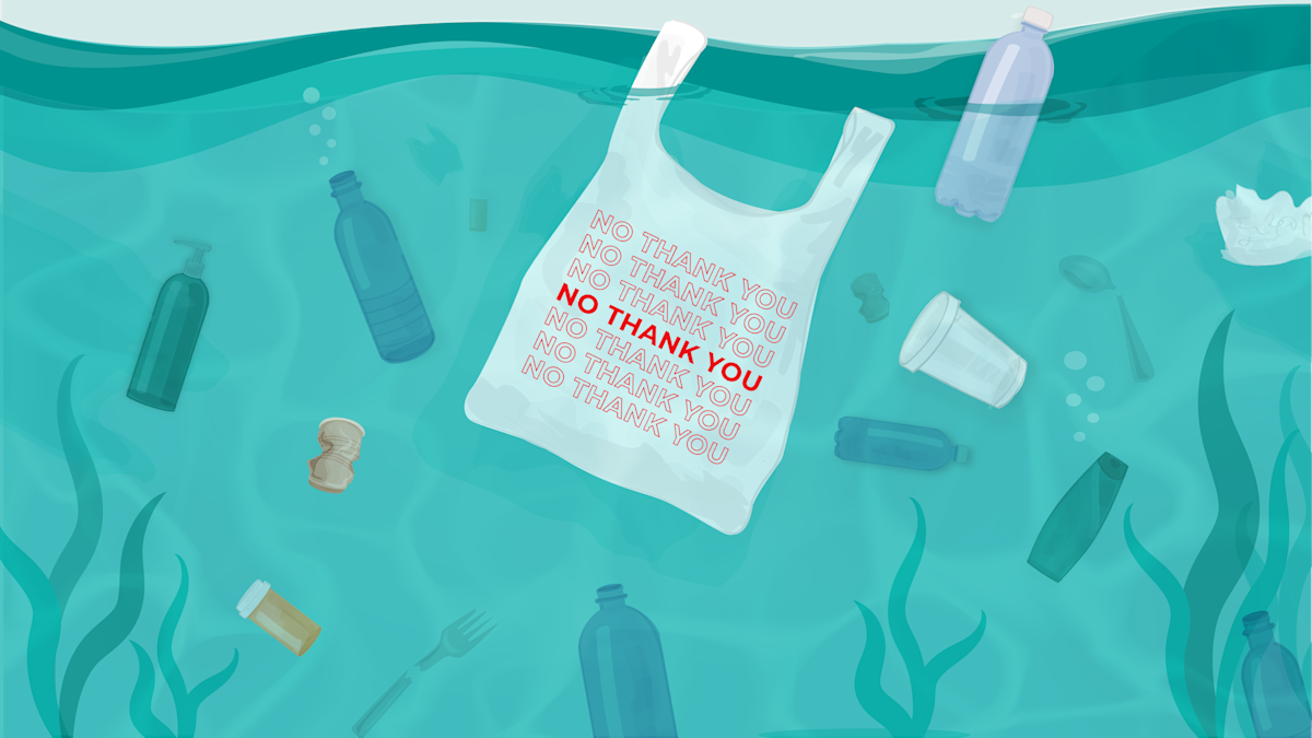 “It’s Just Plastic”: The No Plastics Movement is Having A Moment | theSkimm
