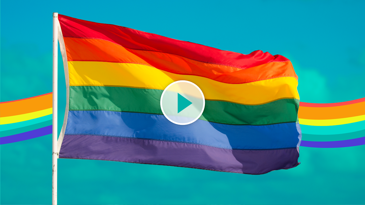 The History of the Pride Flag | theSkimm