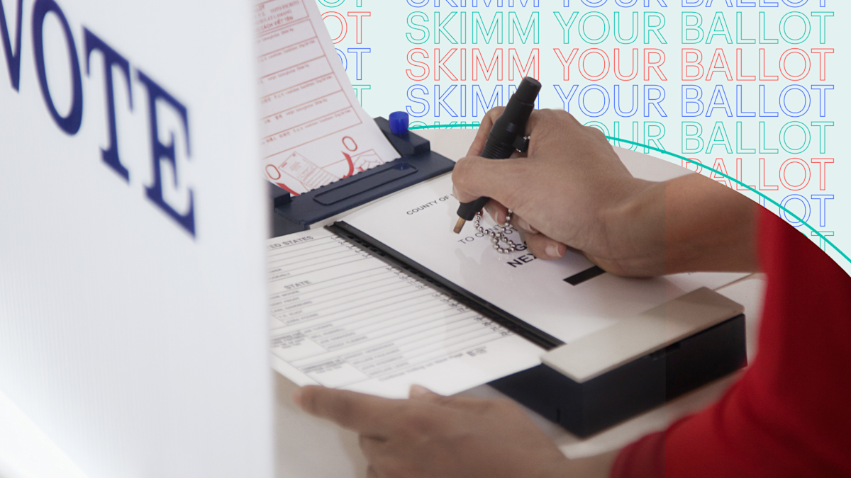 Elected Positions to Know About Before the Midterm Elections | theSkimm