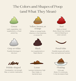 Stop Worrying About White Specks In Dog Poop 40 OFF