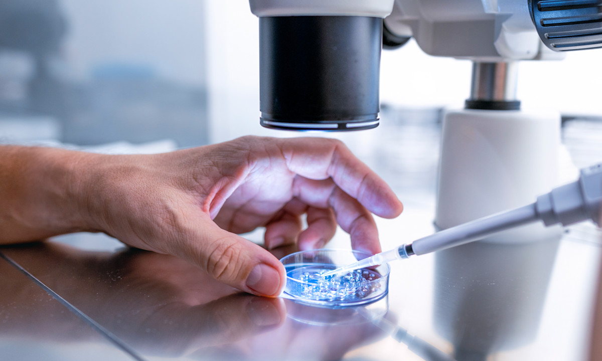 Alabama has a new law aimed at protecting in vitro fertilization (IVF ...