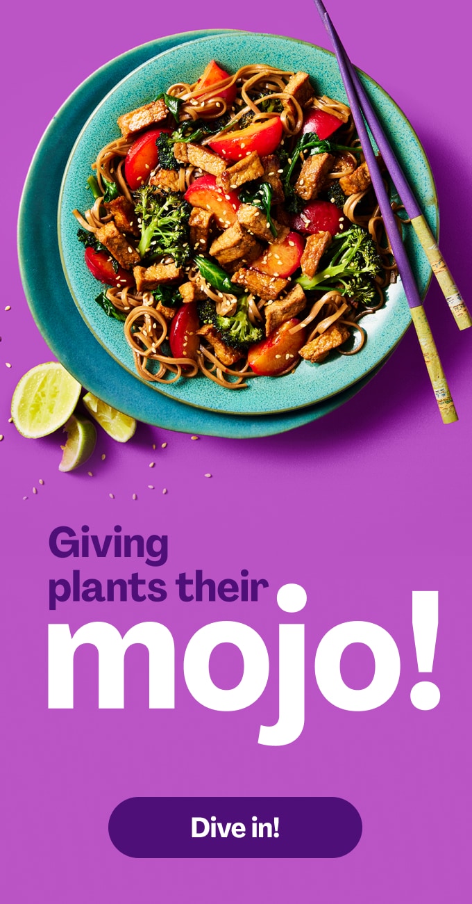 Plant-Based & Vegetarian Products and Recipes | Cauldron