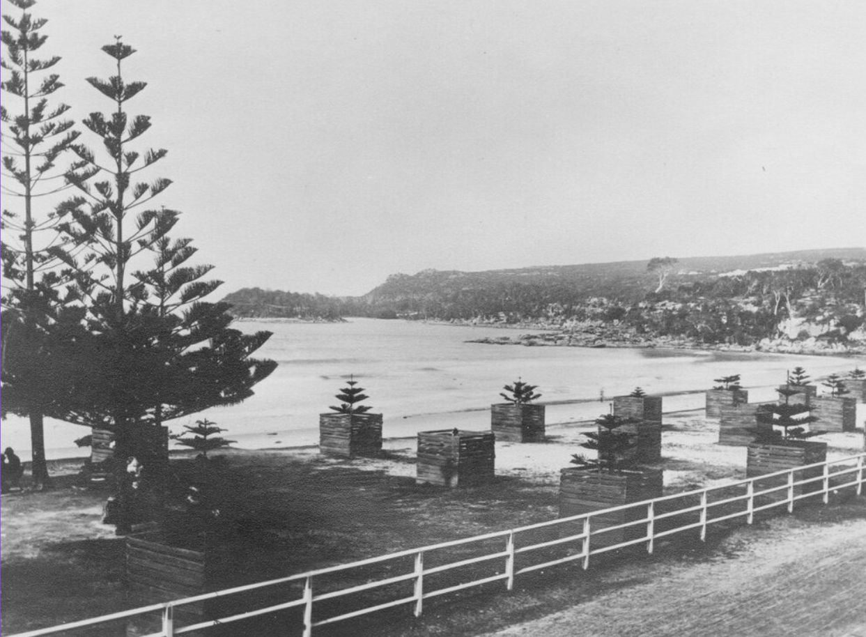 Home | Manly Community Forum