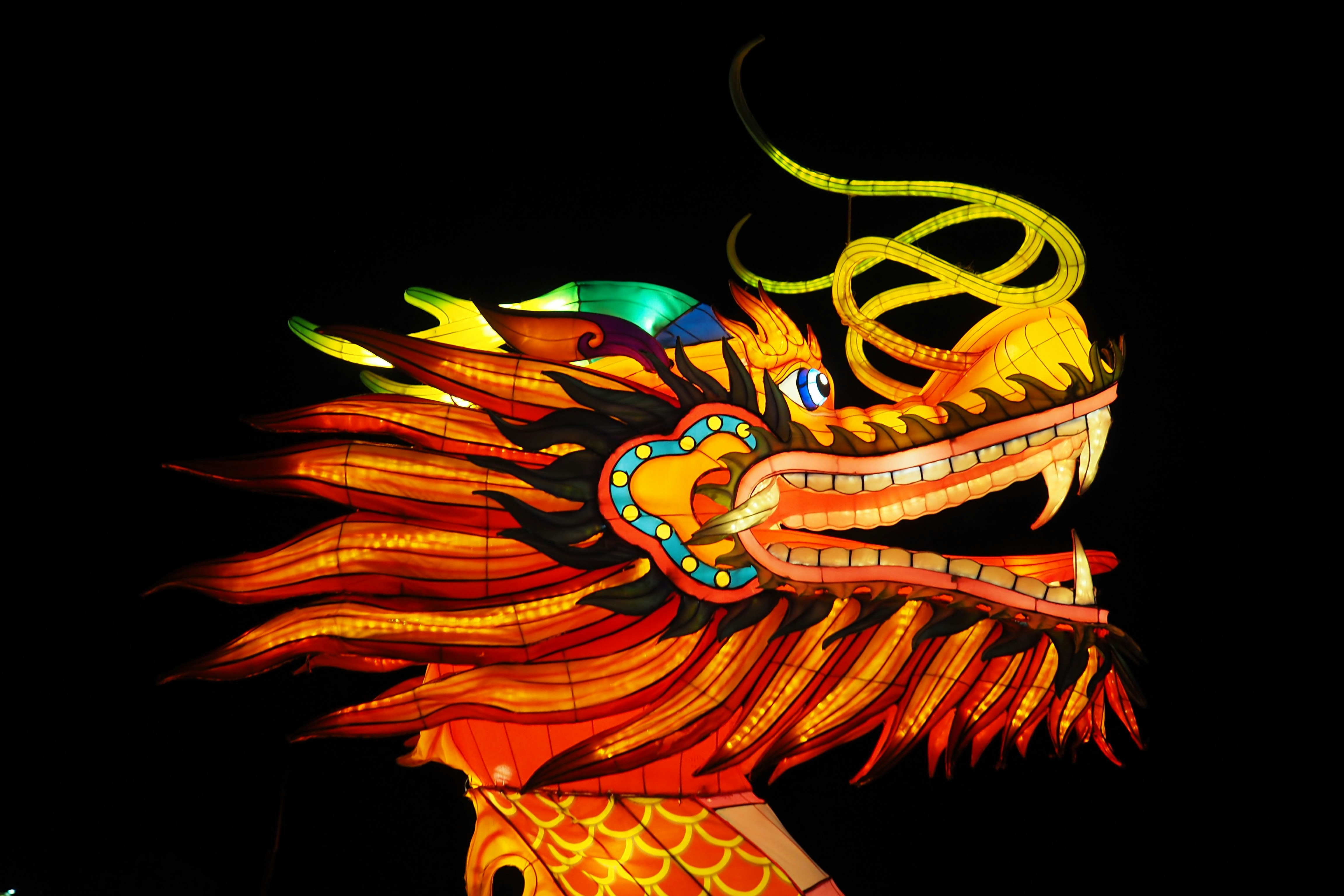 Happy Lunar Year of the Dragon 2024 | Manly Community Forum