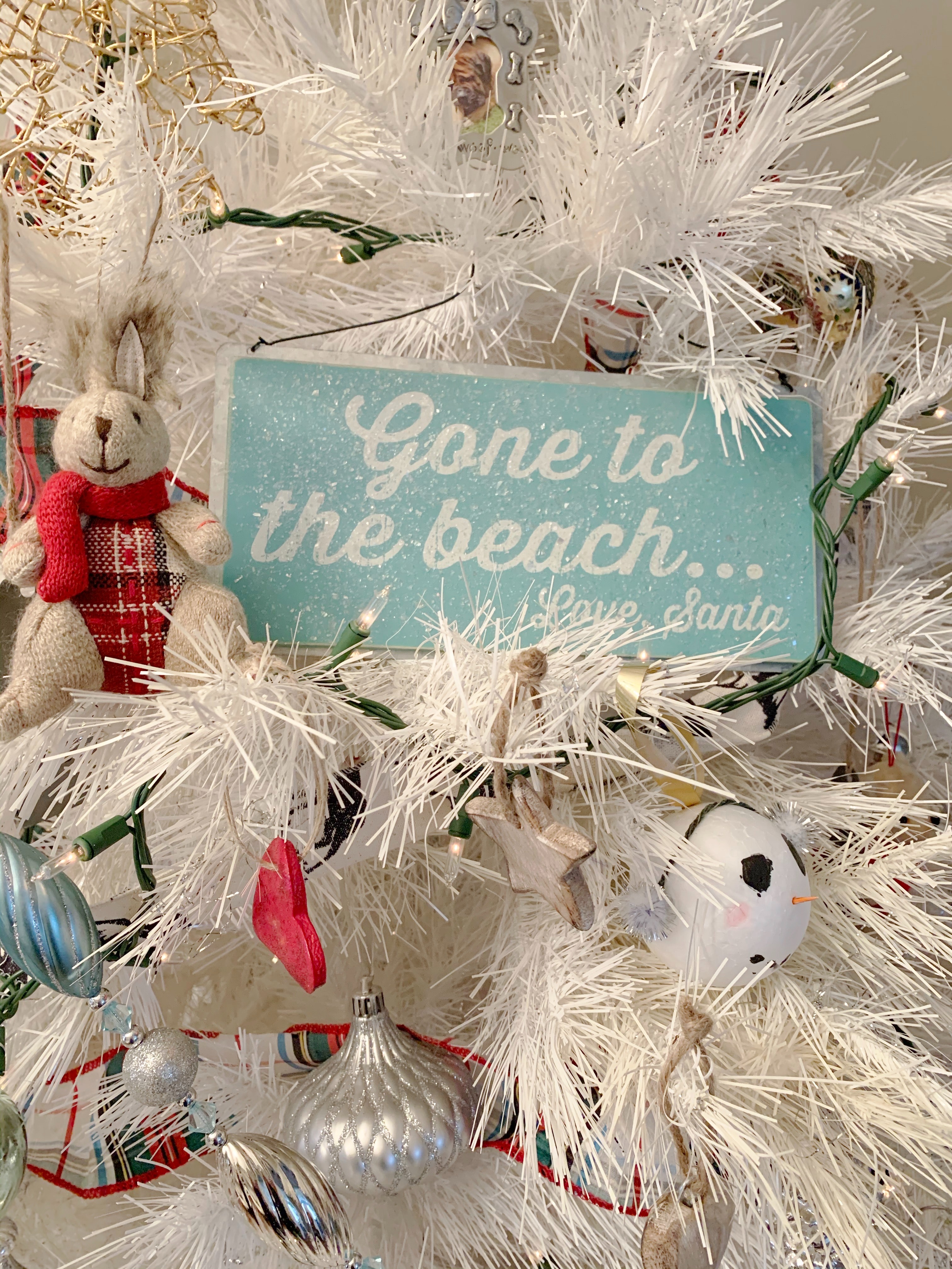 End of year message from the Chair | Manly Community Forum