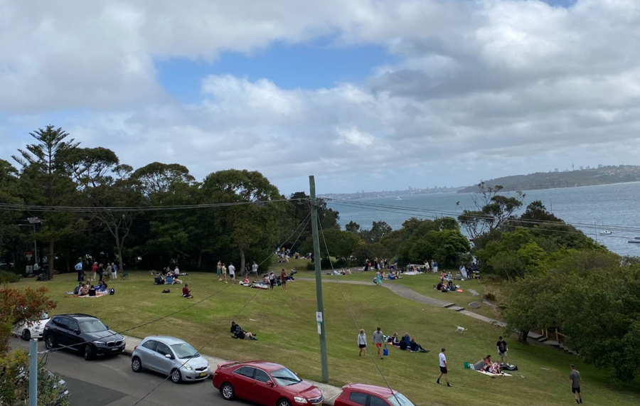 Manly Picnics | Manly Community Forum