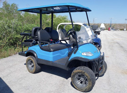 Salvage & Crashed Golf Carts For Sale by Auction | IAA
