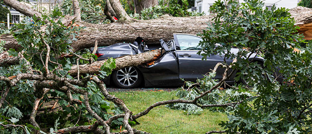 IAA Catastrophe | IAA