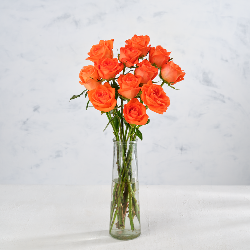 Fairtrade 30 Year Redesign Roses - Co-op