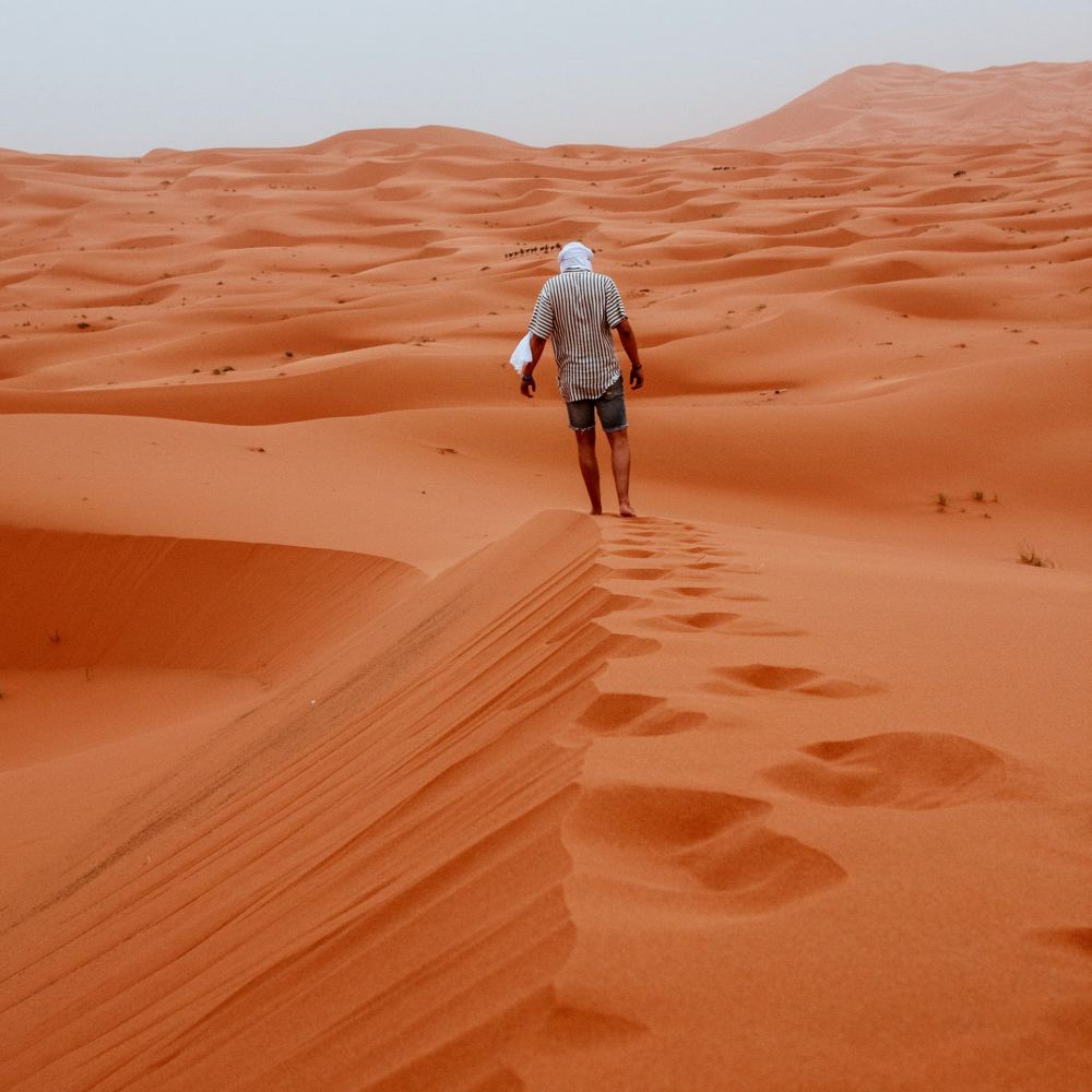 Sahara Desert At Night Temperature