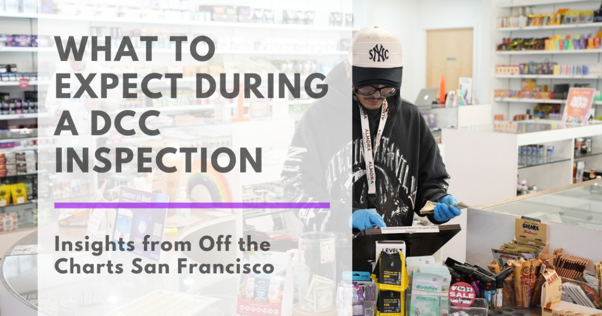 What to Expect during a DCC Inspection: Insights from Off the Charts ...