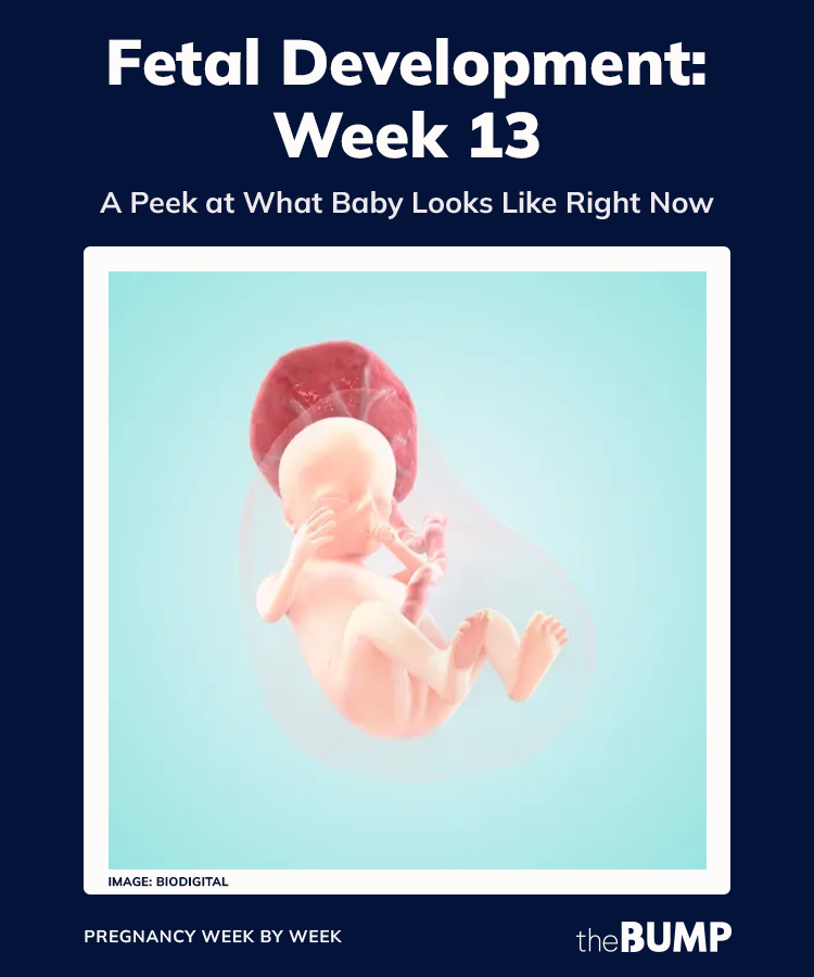 13 Weeks Pregnant: Baby Development, Symptoms and Tips