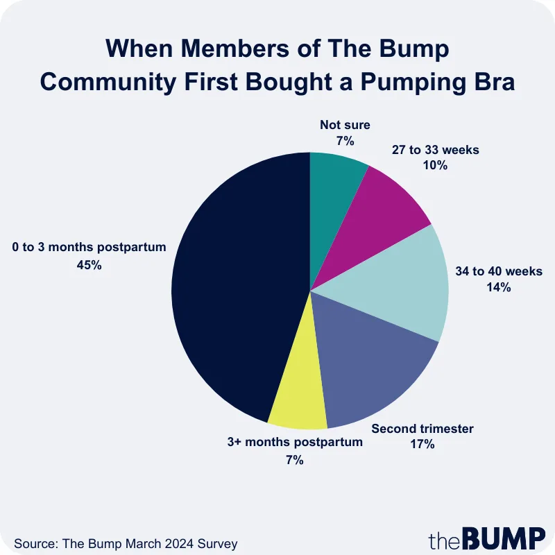 8 Best Pumping Bra Styles of 2024