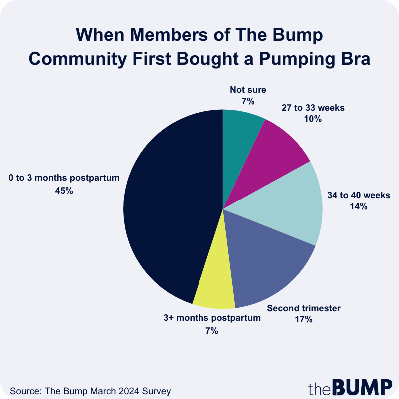 8 Best Pumping Bra Styles