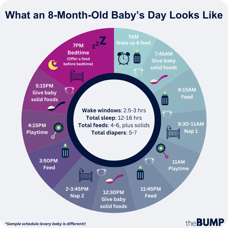 8-Month-Old-Baby: Milestones, Eating Schedules and More