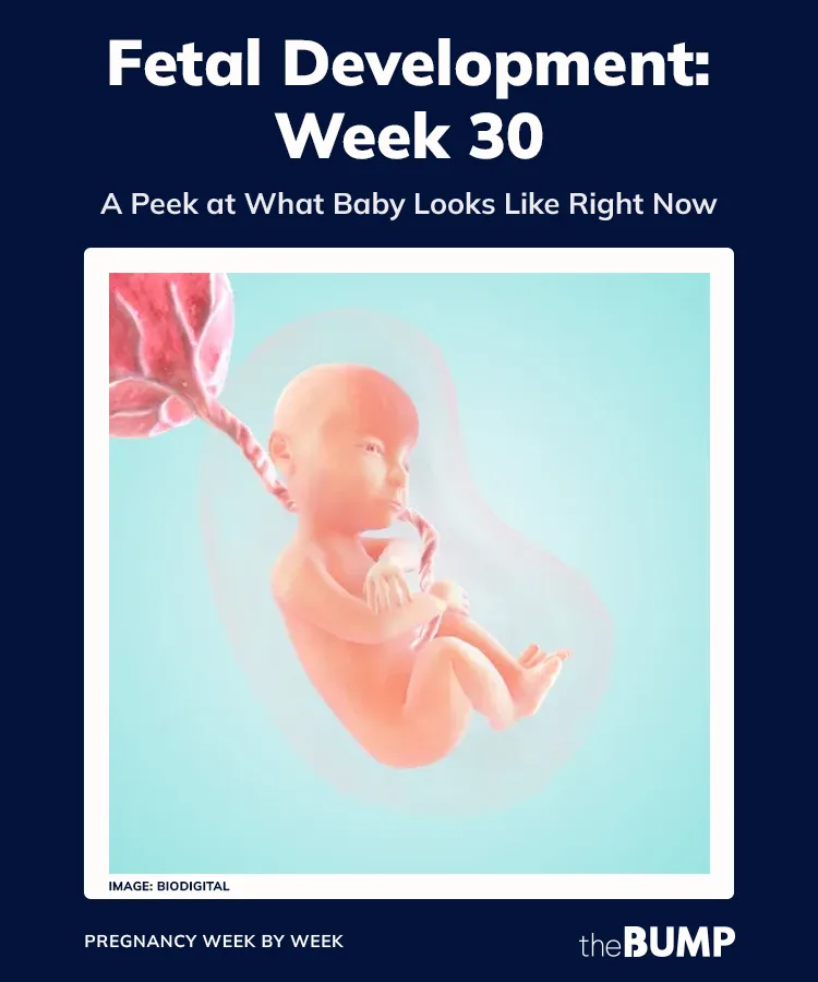 30 Weeks Pregnant: Baby Development, Symptoms and Tips