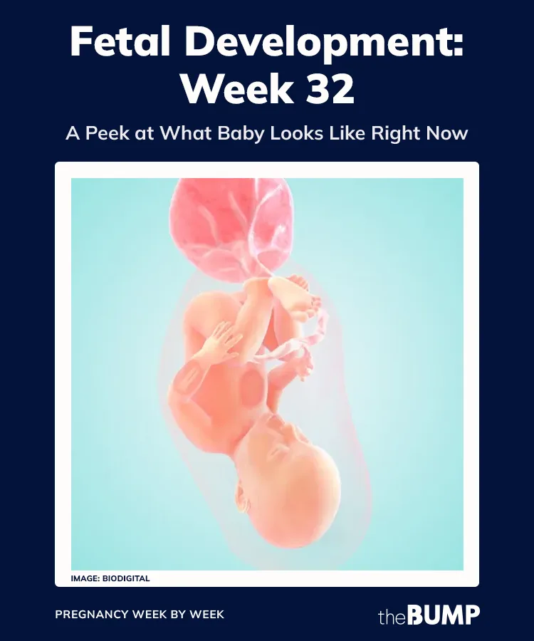 32 Weeks Pregnant: Baby Development, Symptoms and Tips